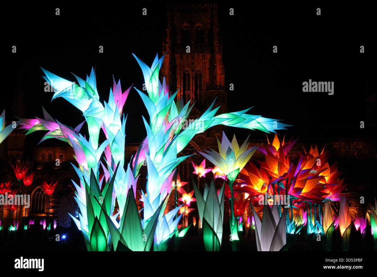 Durham Cathedral Lumiere Festival of Lights, Palace Green (outside ...