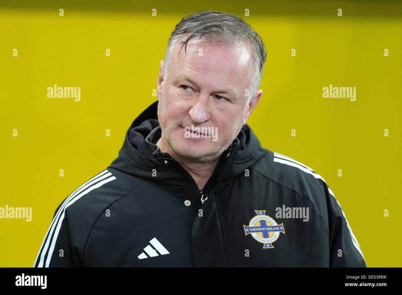 Northern Ireland manager Michael O'Neill ahead of a training session at ...