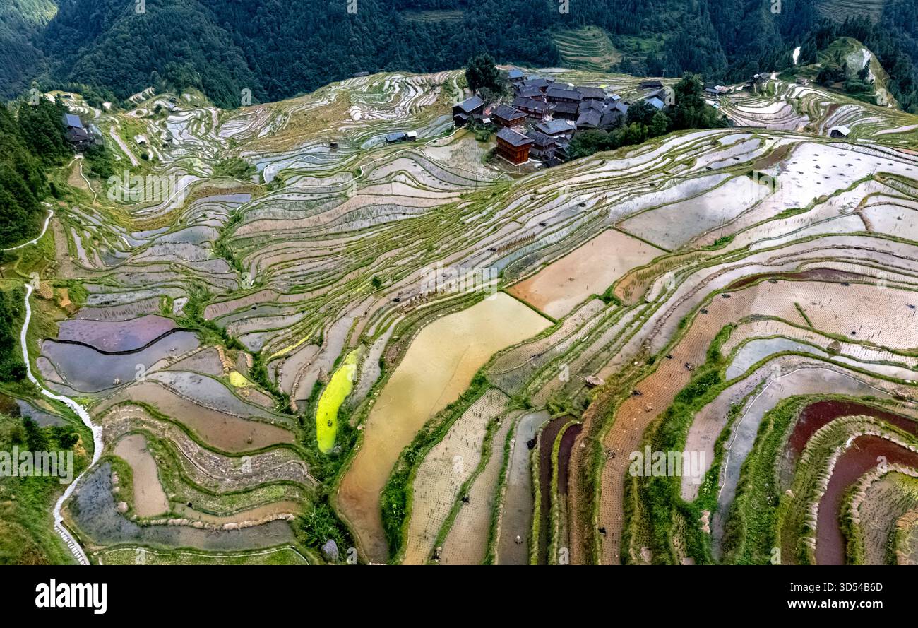 Aerial view of Jiabang Rice Terraces in the Congjiang County, Guizhou ...
