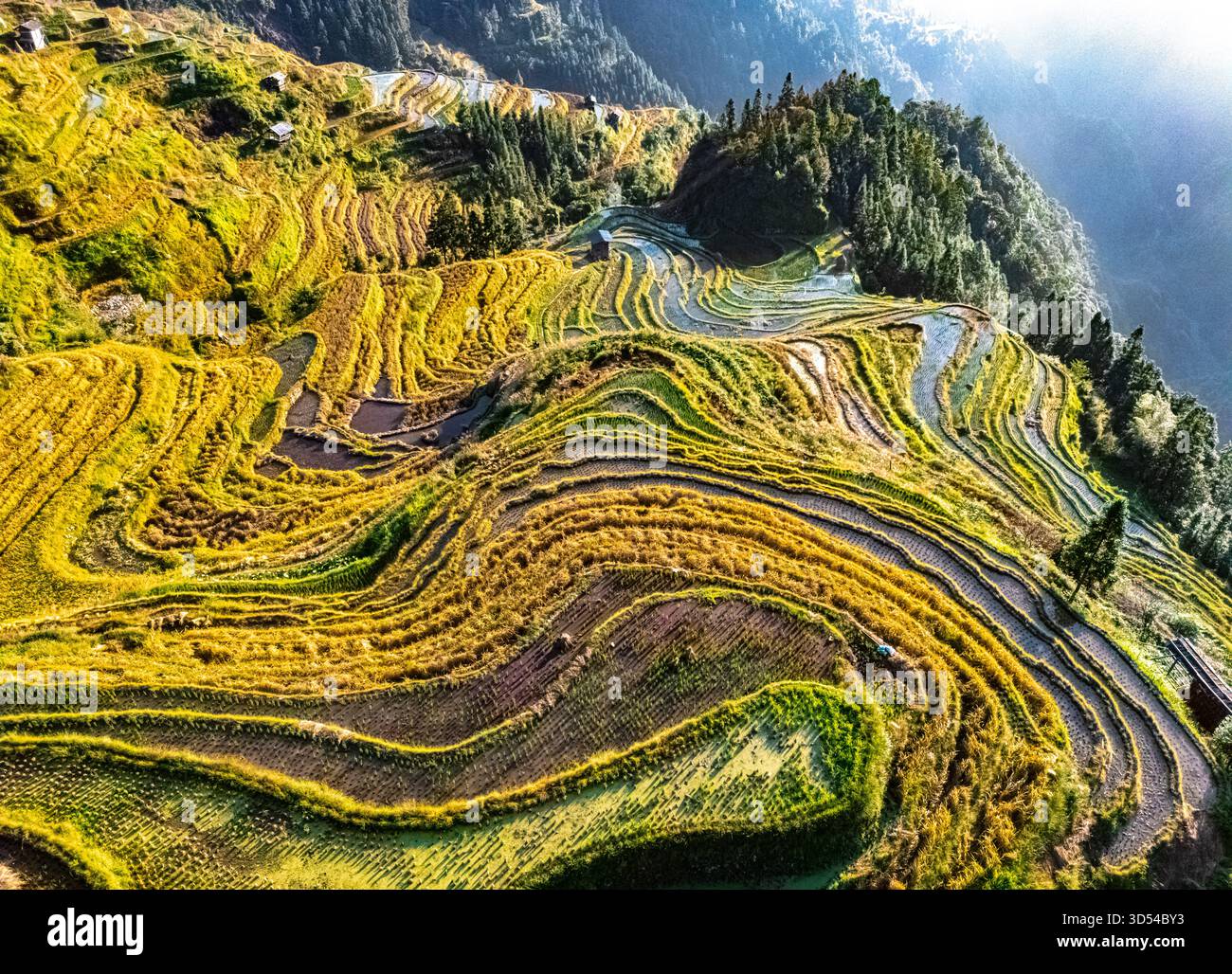 Aerial view of Jiabang Rice Terraces in the Congjiang County, Guizhou ...