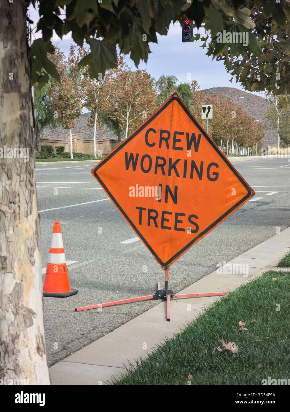 Crew working in trees warning sign on roadway Stock Photo - Alamy