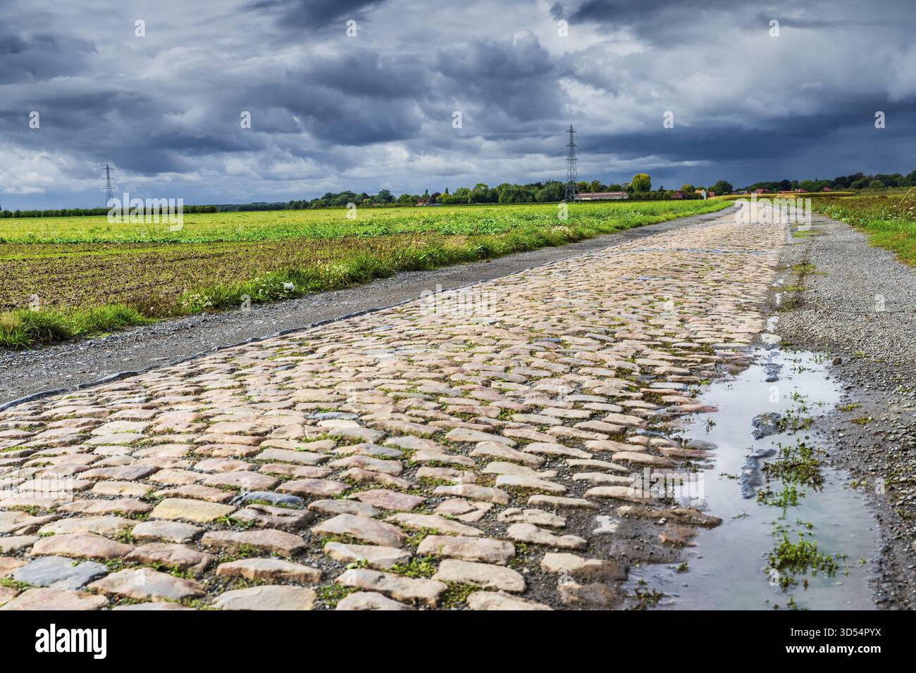 Pav l'Arbre, Cobblestones at the cycling classic Paris to Roubaix ...