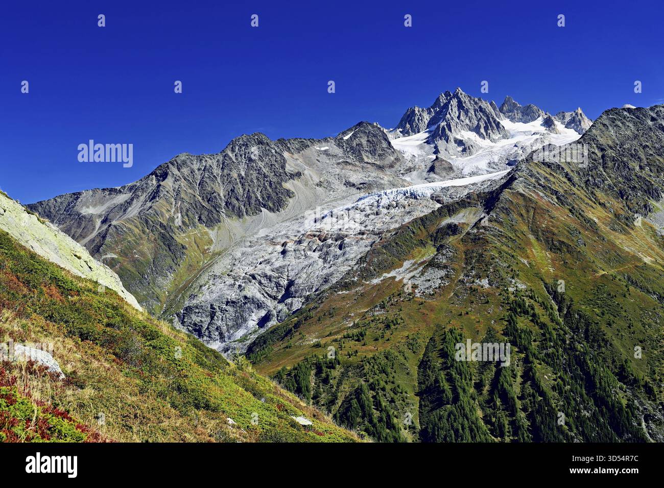 Glacier du Tour behind Aiguilles du Tour, Chamonix-Mont-Blanc, Haute ...