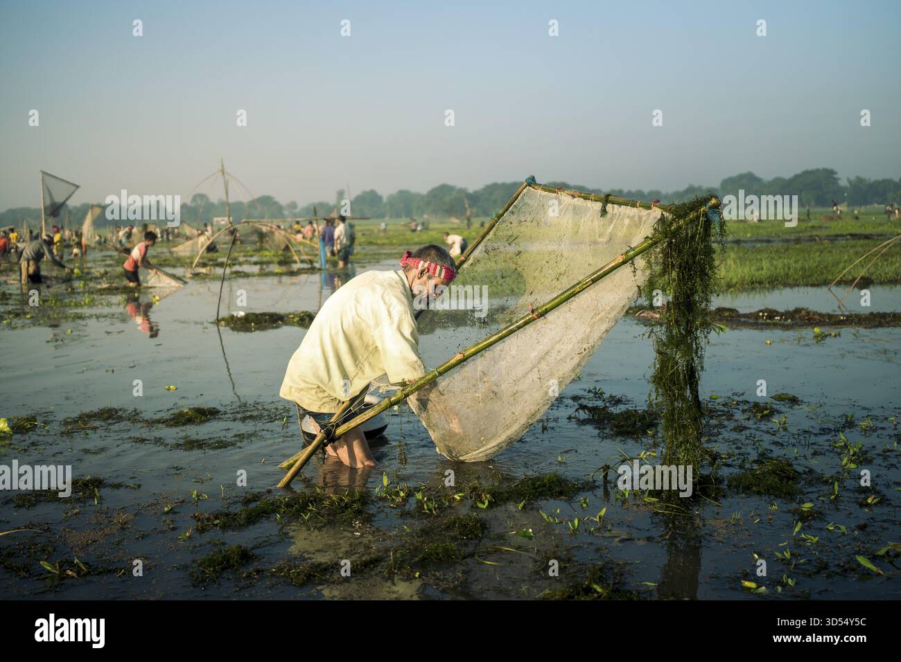 Fisherman using a net in water amidst natural scenery during morning ...