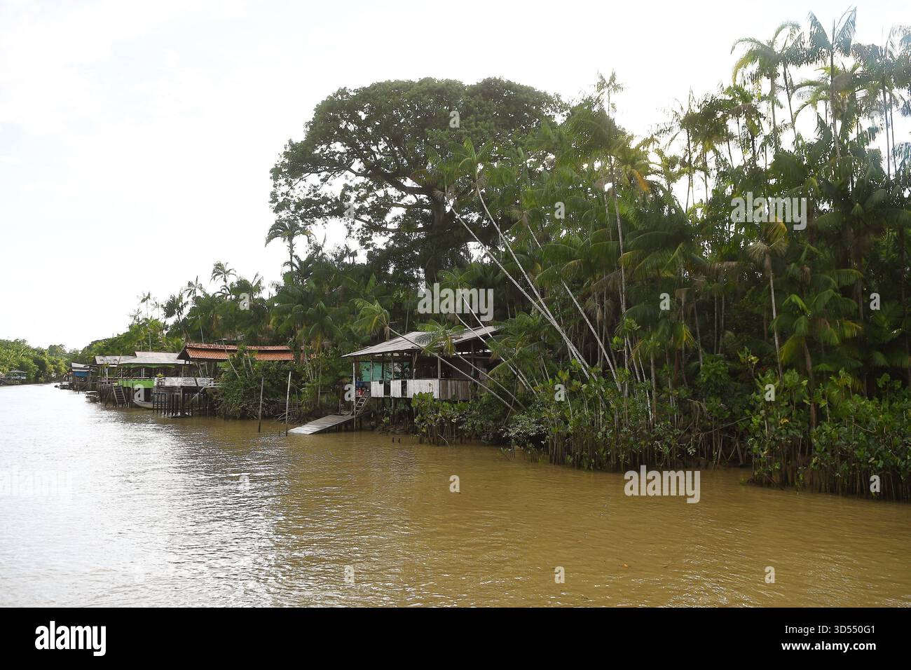Belém, Brazil, November 10, 2025. Dwellers located on the Guamá River ...