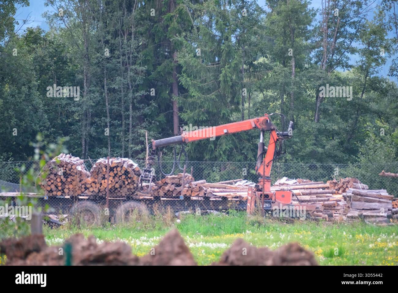 Logging site with orange crane loading fresh timber onto a lorry at the ...