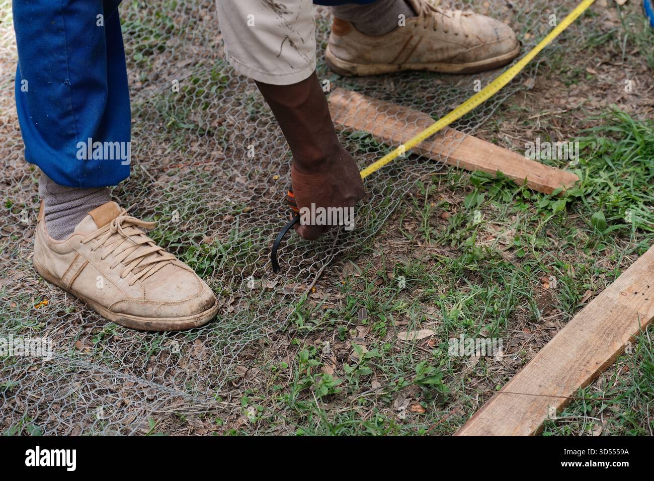 Worker Cutting and Measuring Chicken Wire on Ground Stock Photo - Alamy