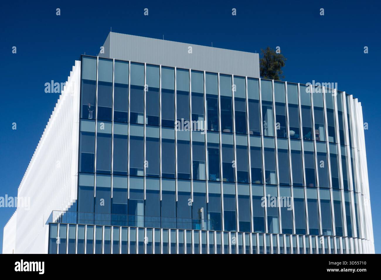 Building meta campus in hi-res stock photography and images - Alamy