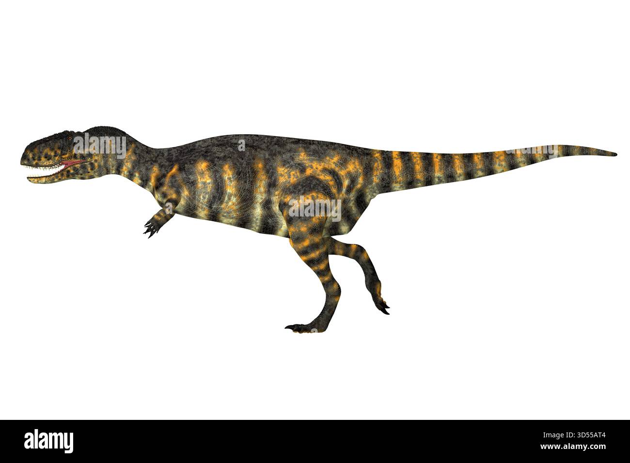Abelisaurus was a theropod carnivorous dinosaur that lived during the ...