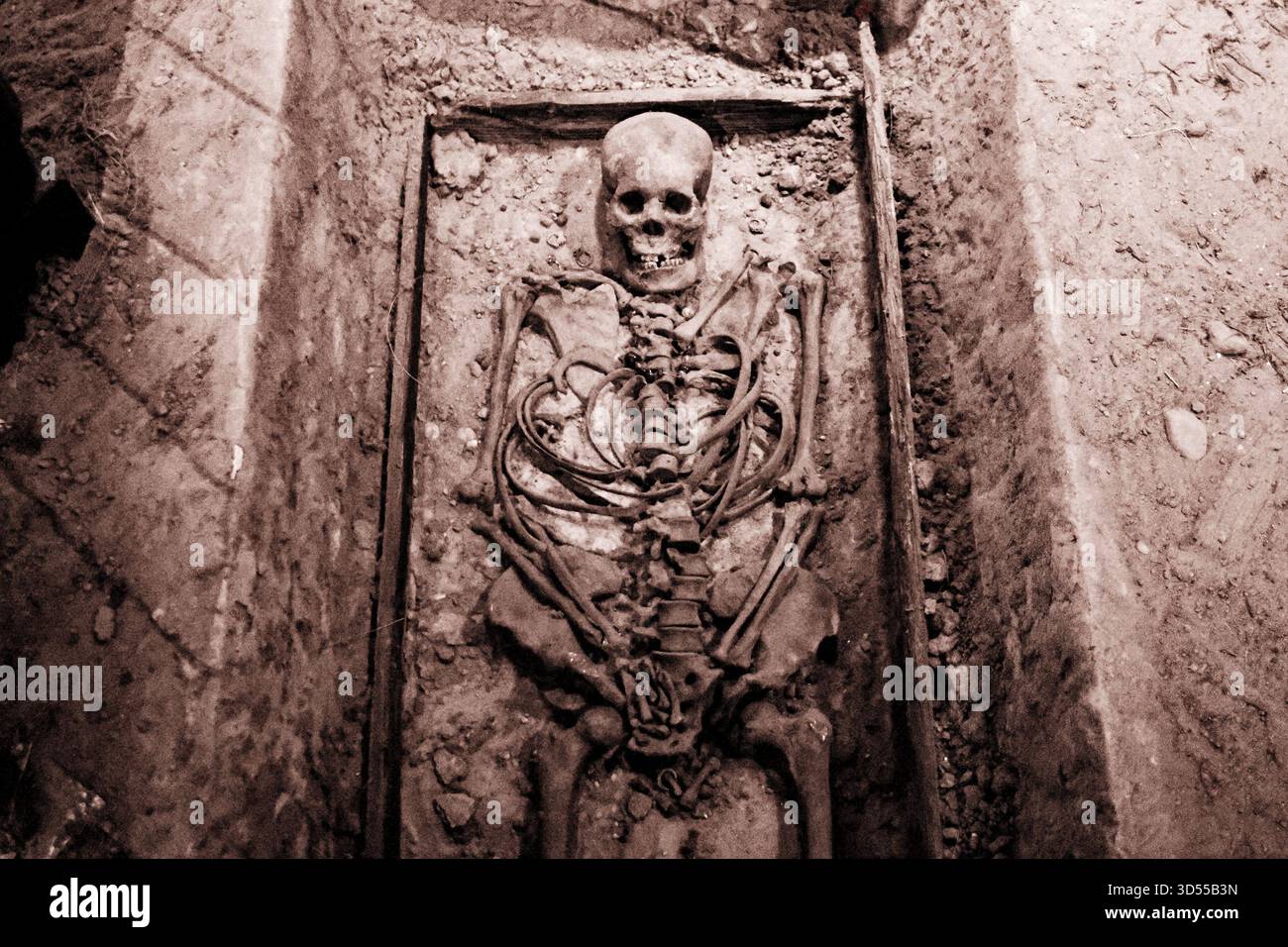 Archaeological excavation site exposed hi-res stock photography and ...