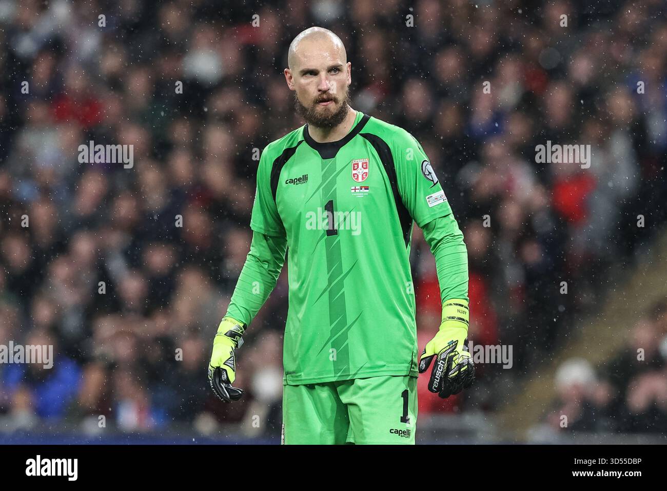 Serbia goalkeeper Predrag Rajkovic during the FIFA World Cup Qualifiers ...