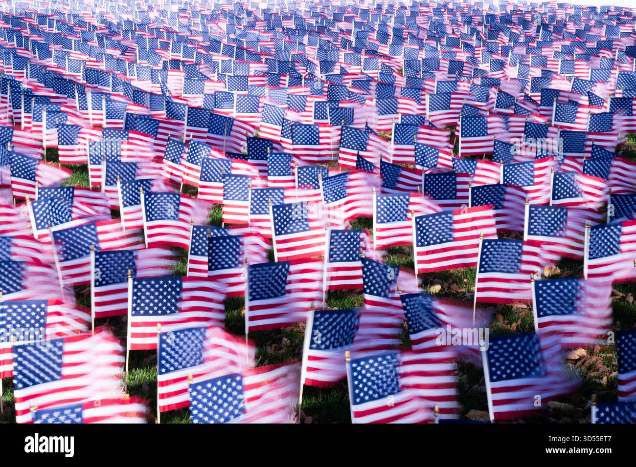 Flags wave in the wind on the National Mall, Thursday, Nov. 13, 2025 ...