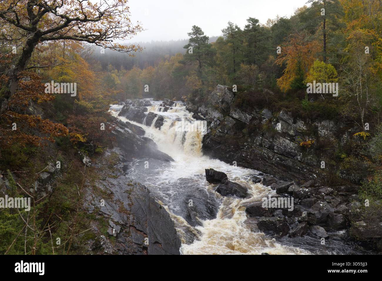 Rogie Falls near Contin in the Highlands of Scotland, photographed in ...