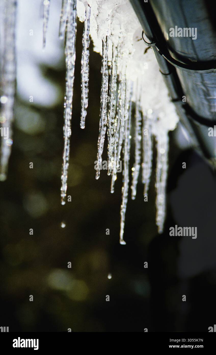 Close up melting icicle dripping hi-res stock photography and images ...