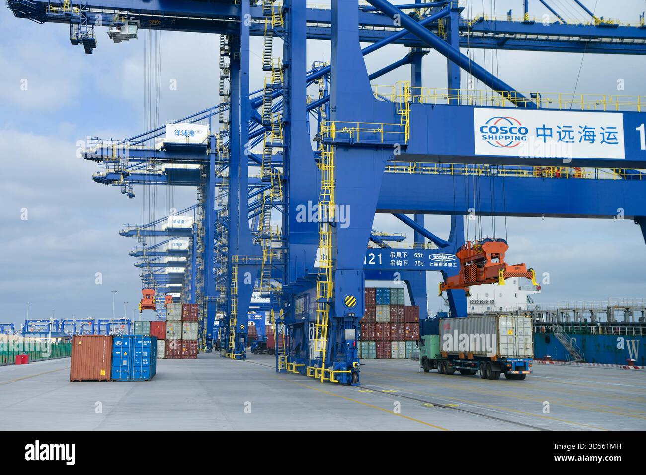 Yangpu International Container Terminal. Yangpu,China.12th November ...