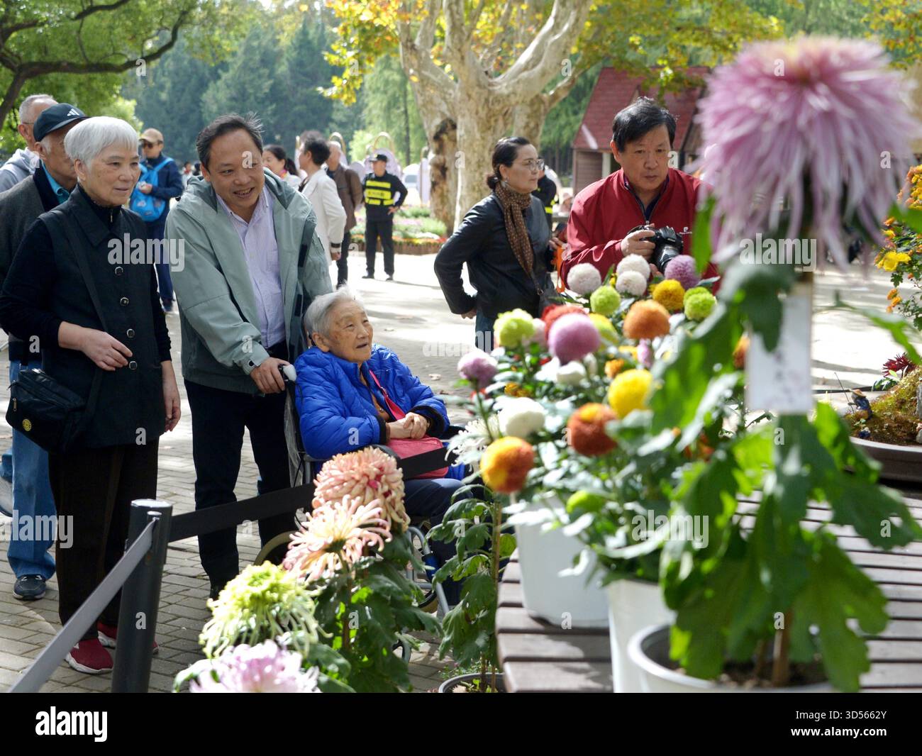People visit the 2025 Shanghai Chrysanthemum Show at Shanghai Gongqing ...