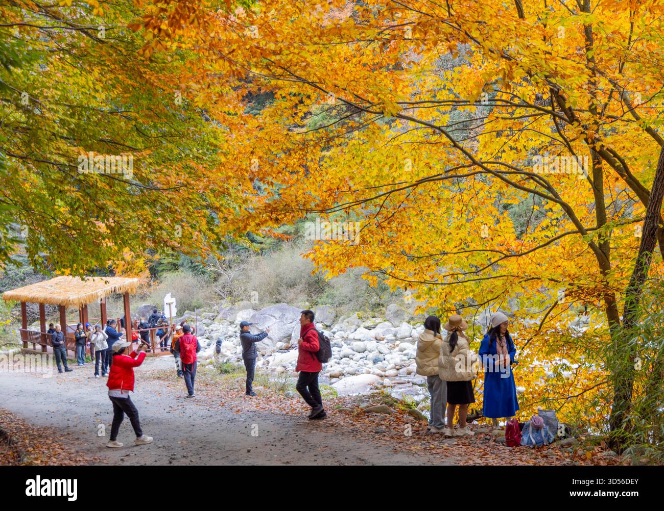 Early winter scenery at Tangjiahe scenic area in Qingchuan County ...