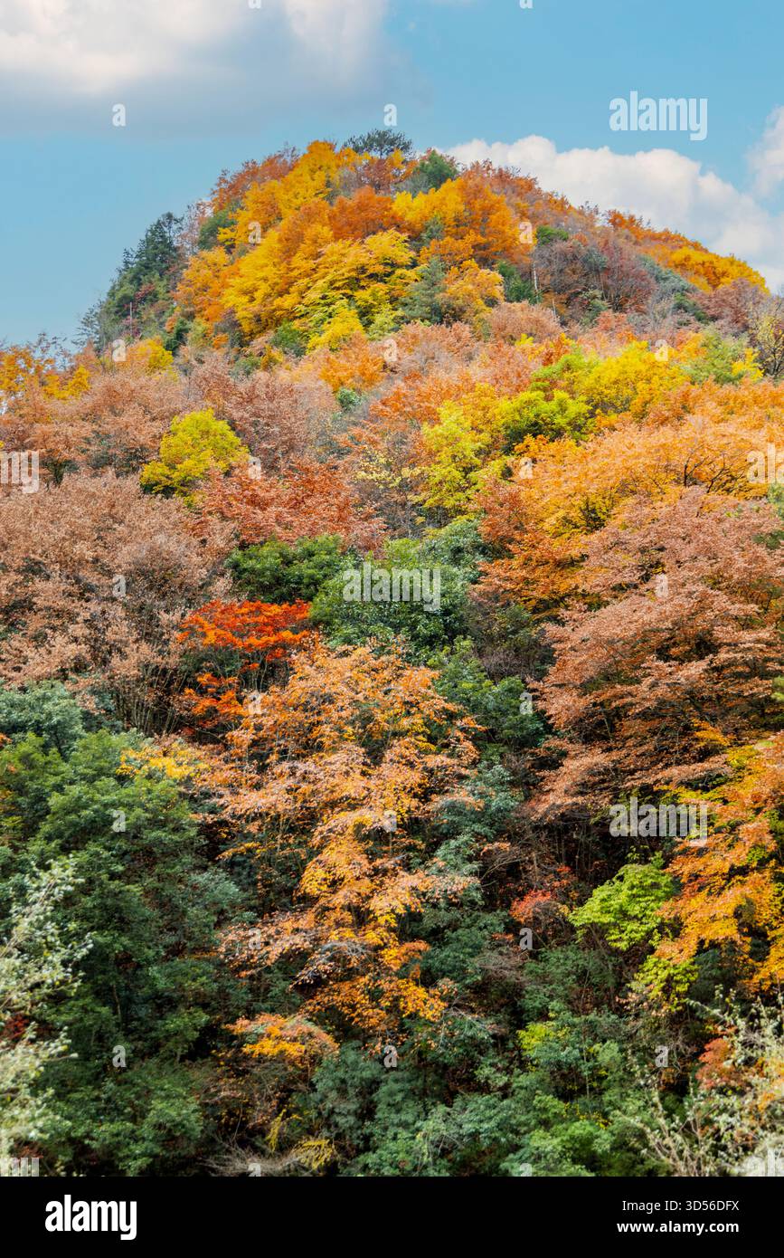 Early winter scenery at Tangjiahe scenic area in Qingchuan County ...