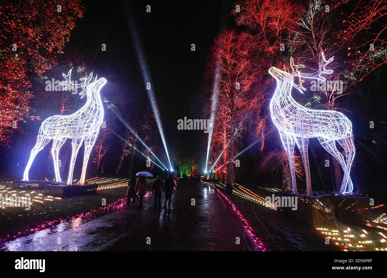 Members of the public make their way around the light trail at the ...