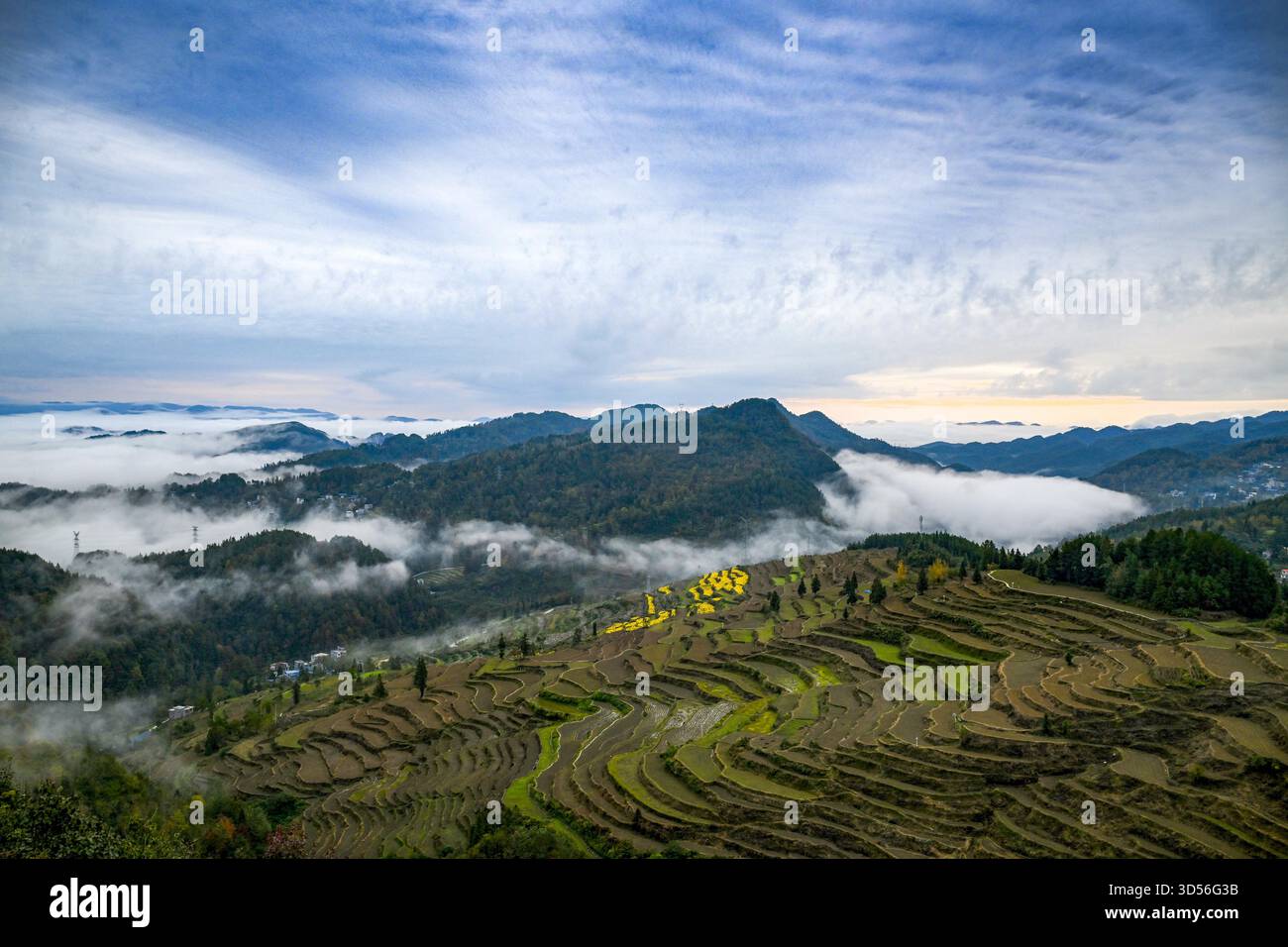 Aerial photo shows the early winter scenery of terraced fields in ...