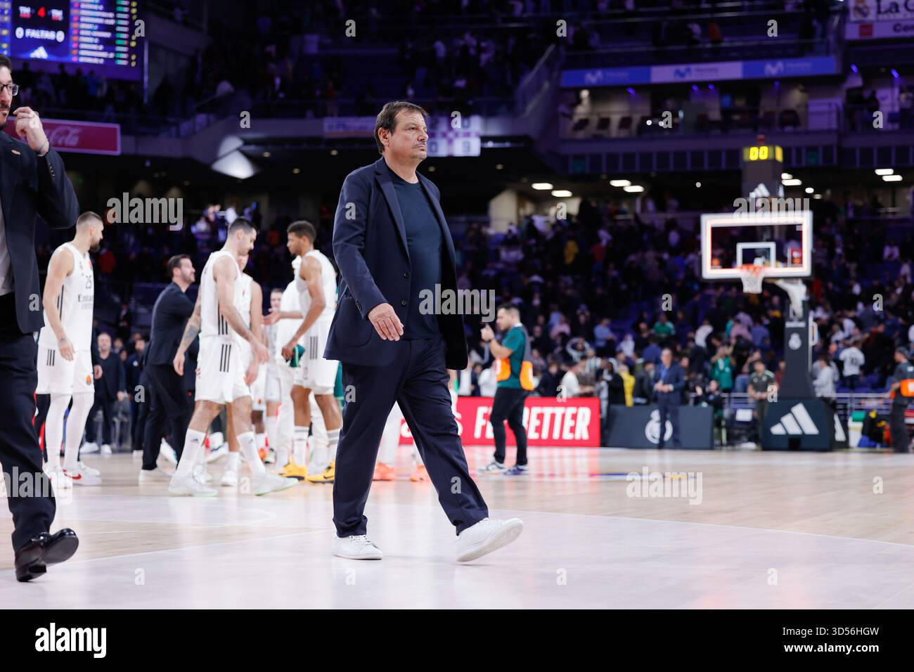 Ergin Ataman, head coach of Panathinaikos during the Turkish Airlines ...