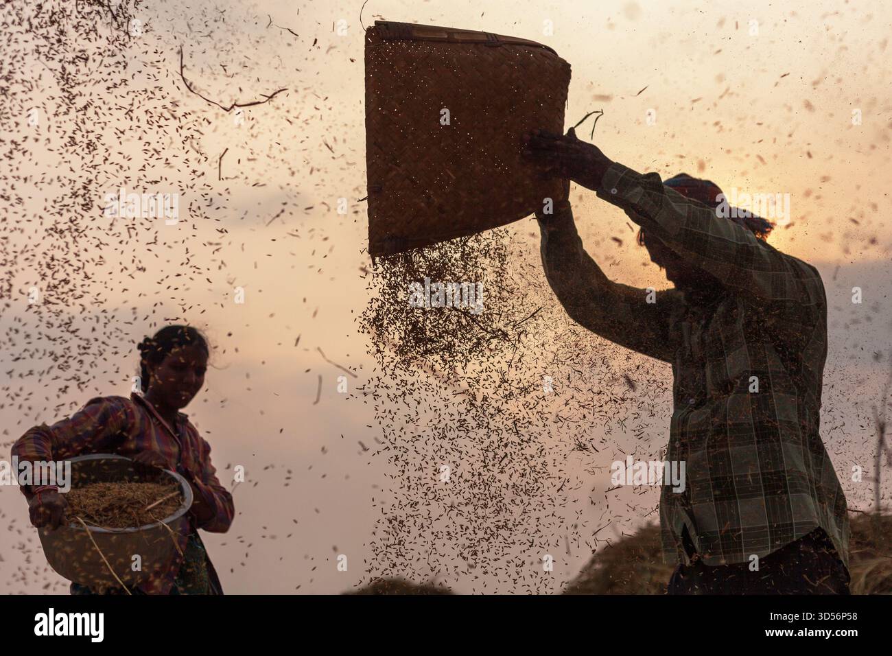 Happy indian man in agriculture hi-res stock photography and images - Alamy