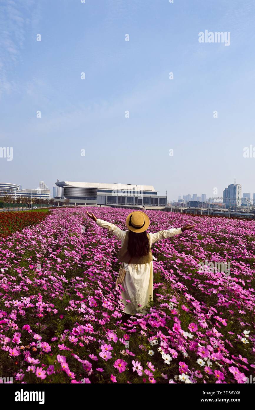 A sea of winter flowers in Rizhao City, east China's Shandong Province ...