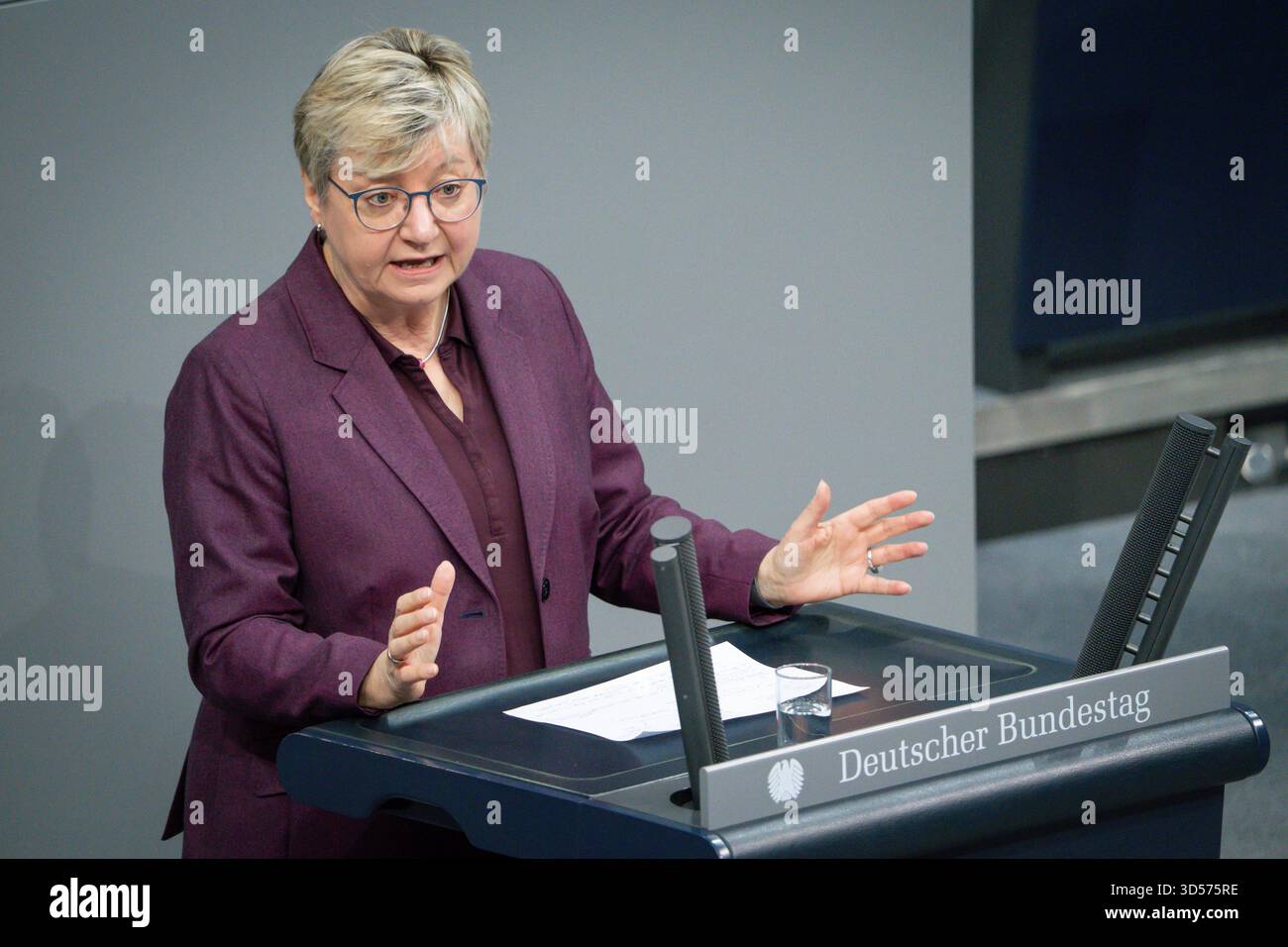 Deutscher Bundestag, 41. Plenarsitzung Frauke Heiligenstadt SPD im ...
