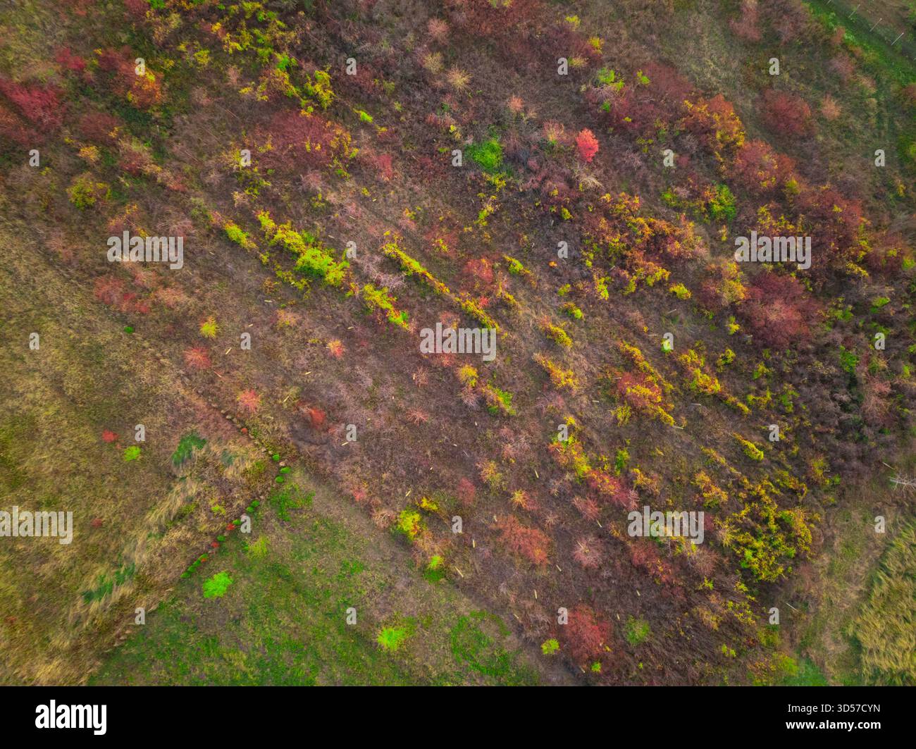 Visual transition hi-res stock photography and images - Alamy