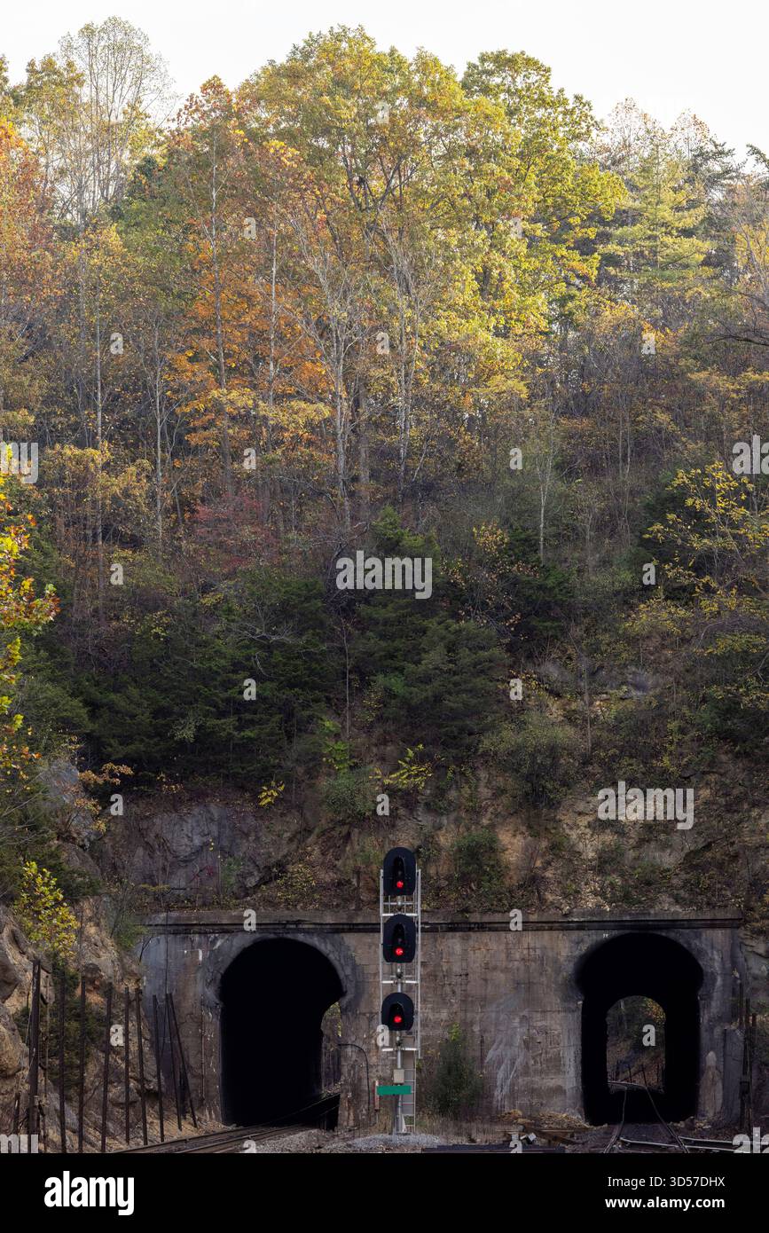 Two train tunnels under wooded landscape vertical Stock Photo - Alamy