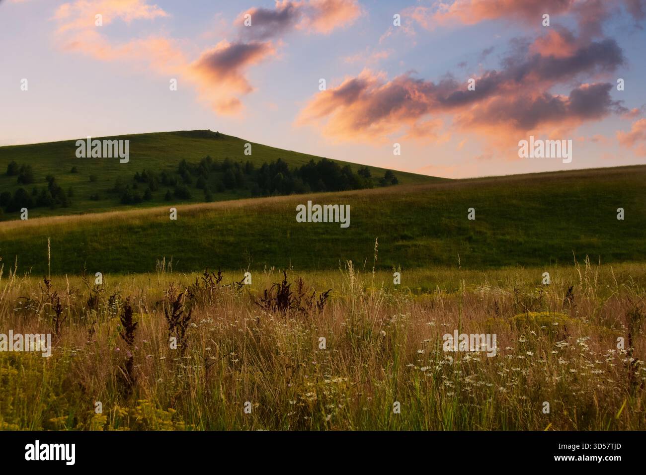 Sunset over a Hilly Grassland landscape, Mt Zlatibor, Serbia Stock ...