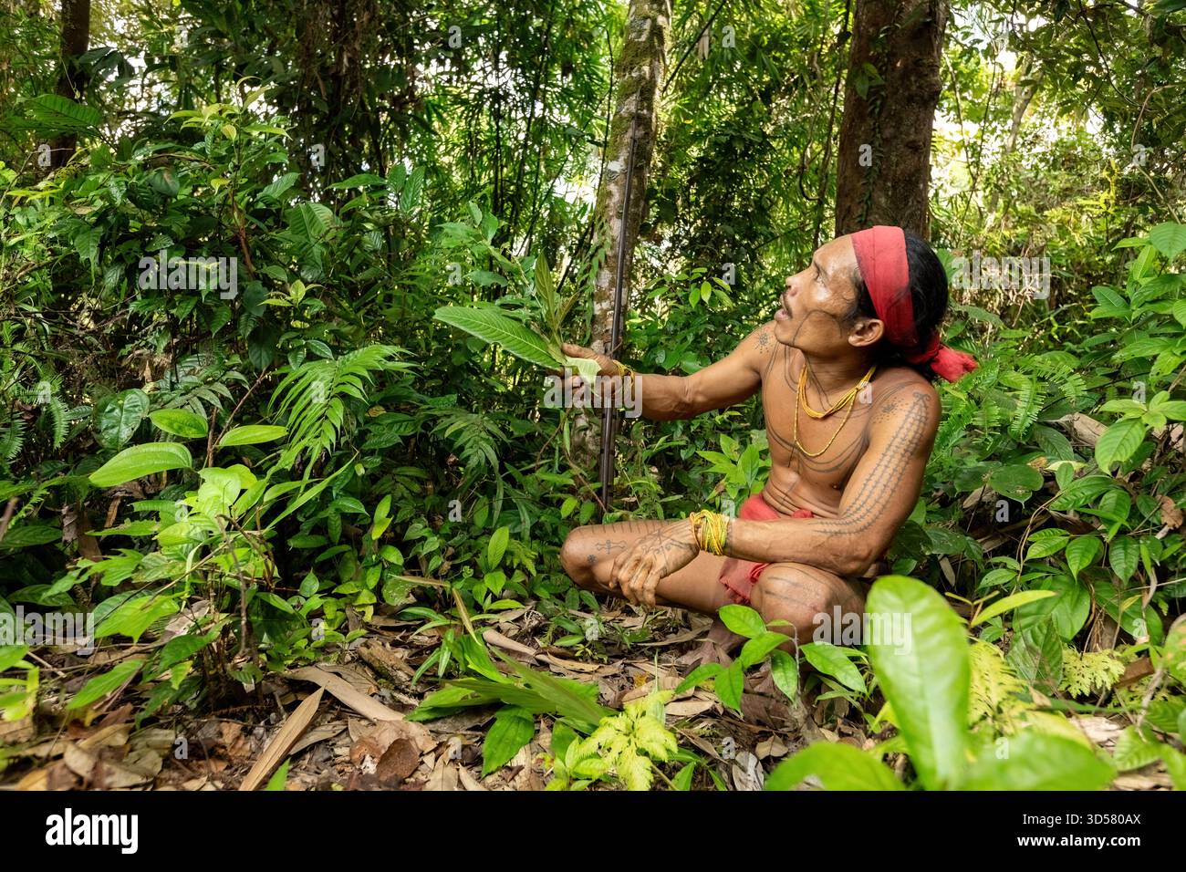 Mentawai shaman wearing traditional attire and body decorations praying ...