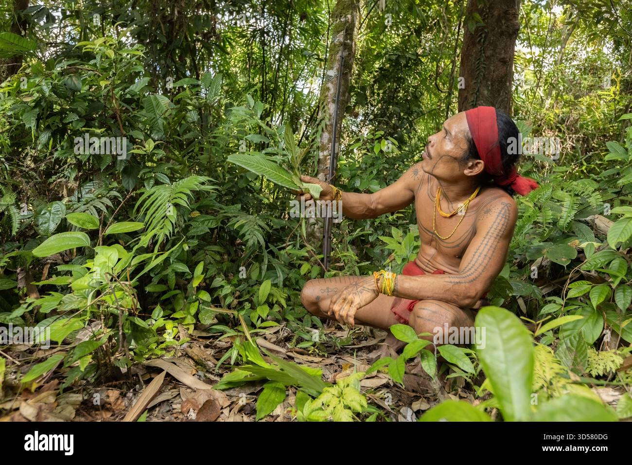Mentawai shaman wearing traditional attire and body decorations praying ...