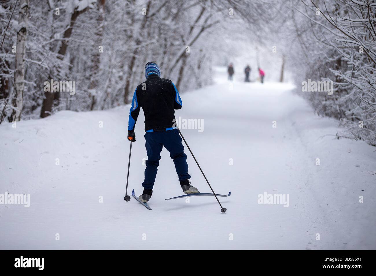 Winter view skiing trail hi-res stock photography and images - Alamy