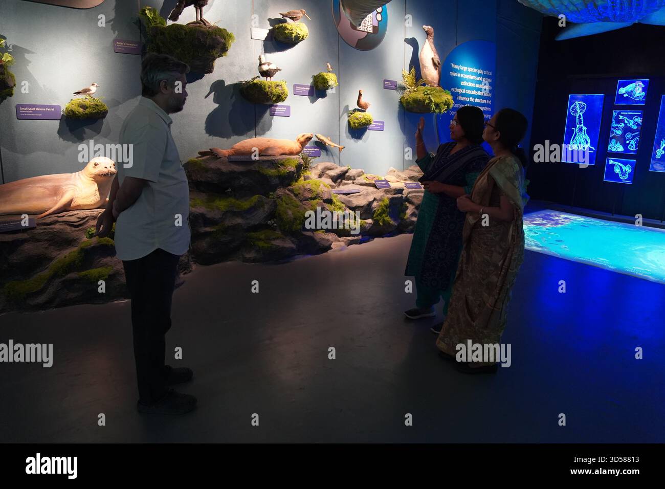 November 14, 2025, Kolkata, West Bengal, India: Kolkata, India. 14 November, 2025. On Indian ...