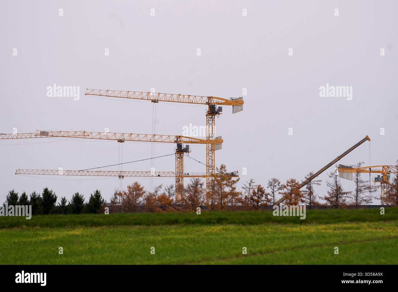 PRODUCTION - 14 November 2025, Rhineland-Palatinate, Büchel ...