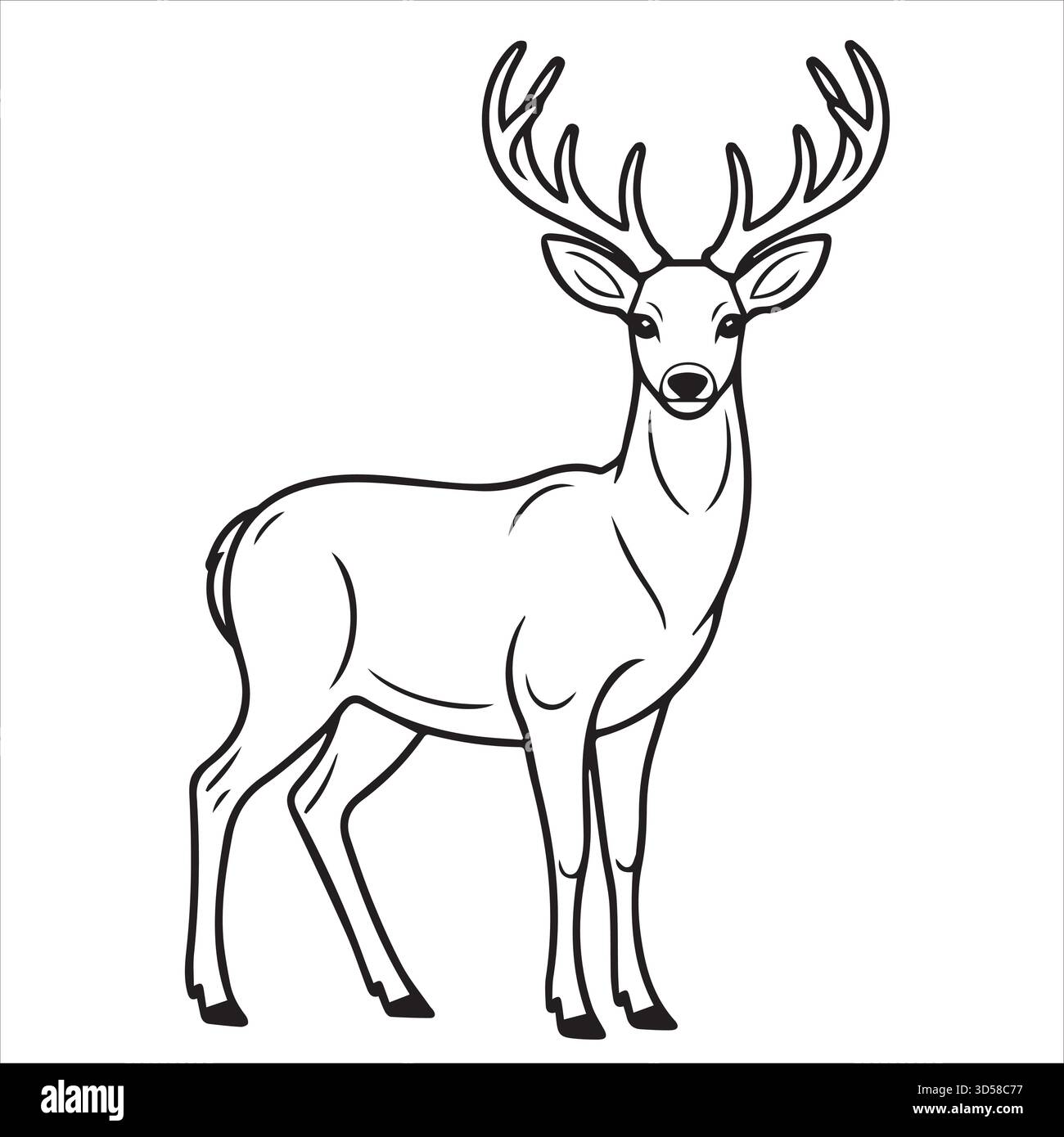 Beautiful line art Stock Vector Images - Alamy