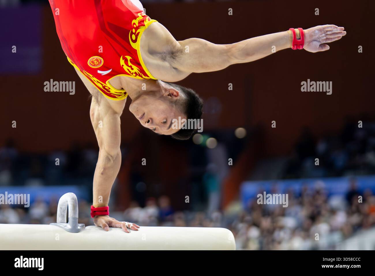 (251114) -- ZHAOQING, Nov. 14, 2025 (Xinhua) -- Xiao Ruoteng of Beijing ...