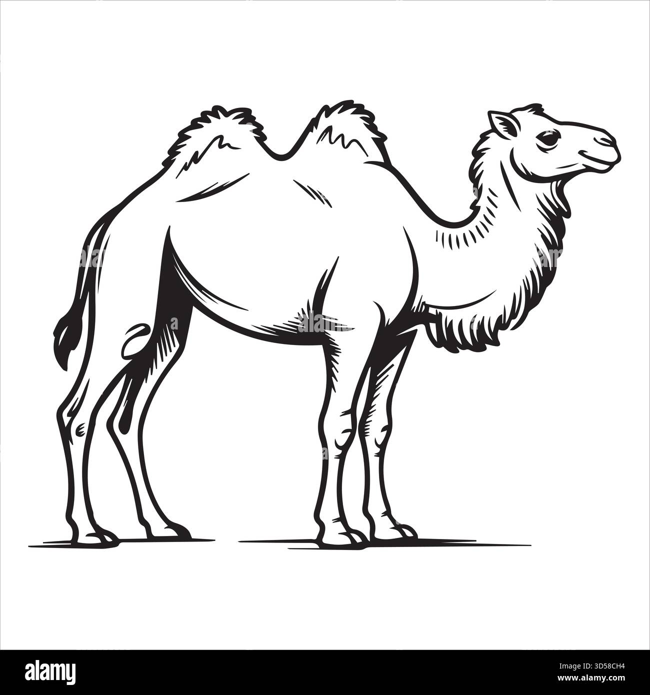 Camel Line Art Illustration - Black and White Camel Clipart Stock ...