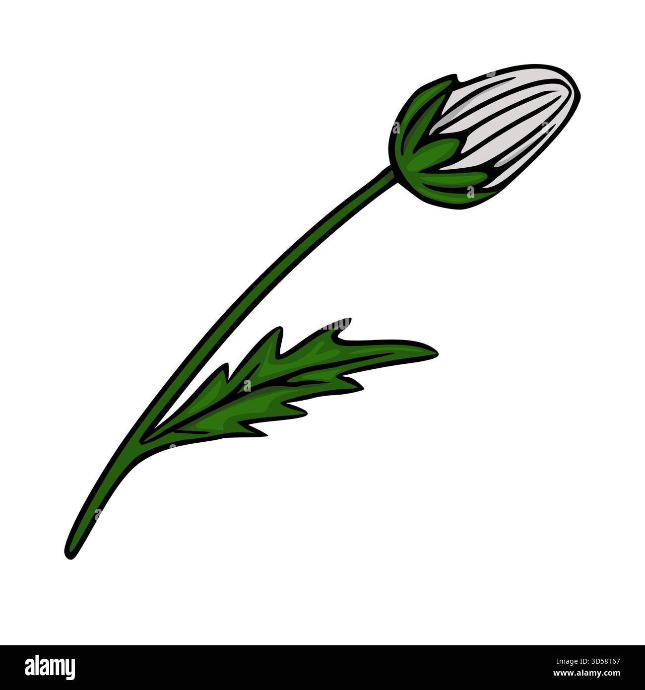 Stylized vector illustration of a single poppy bud with a detailed leaf ...
