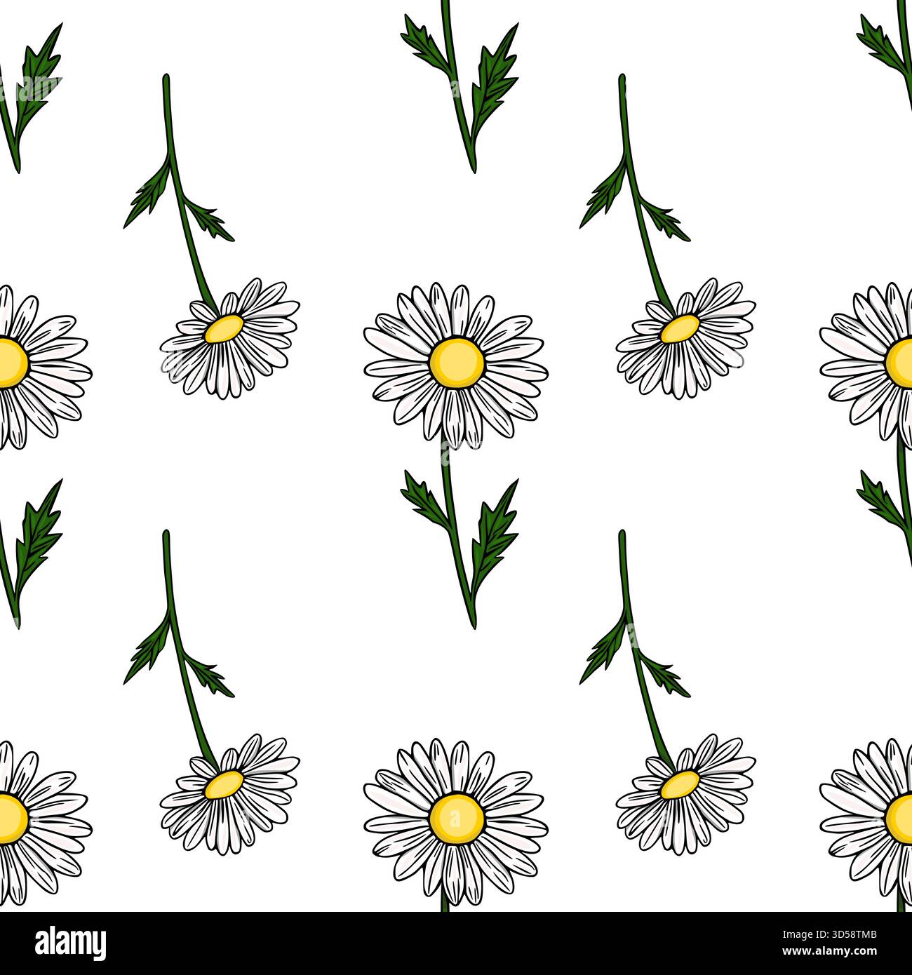 Showcasing delicate stems Cut Out Stock Images & Pictures - Alamy