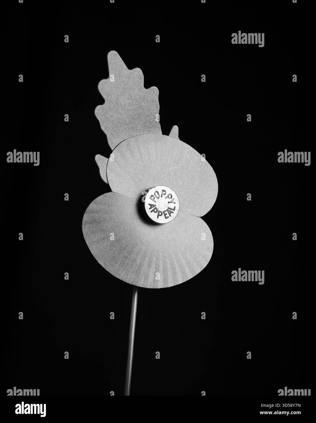 Photograph by © Jamie Callister. Remembrance Sunday parade in Chester ...
