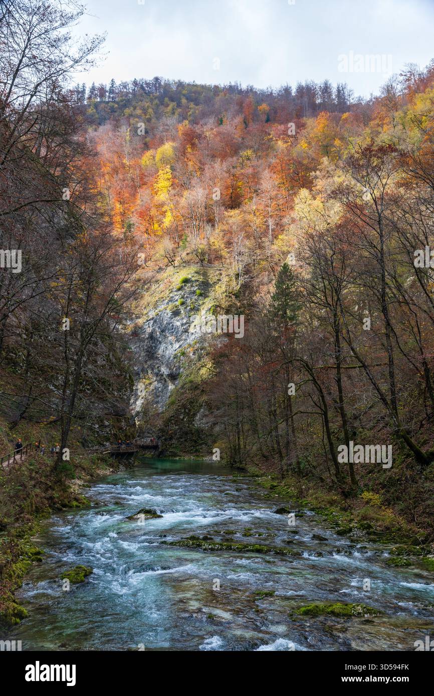 Vintgar Gorge. One of the most beautiful places made by nature in ...