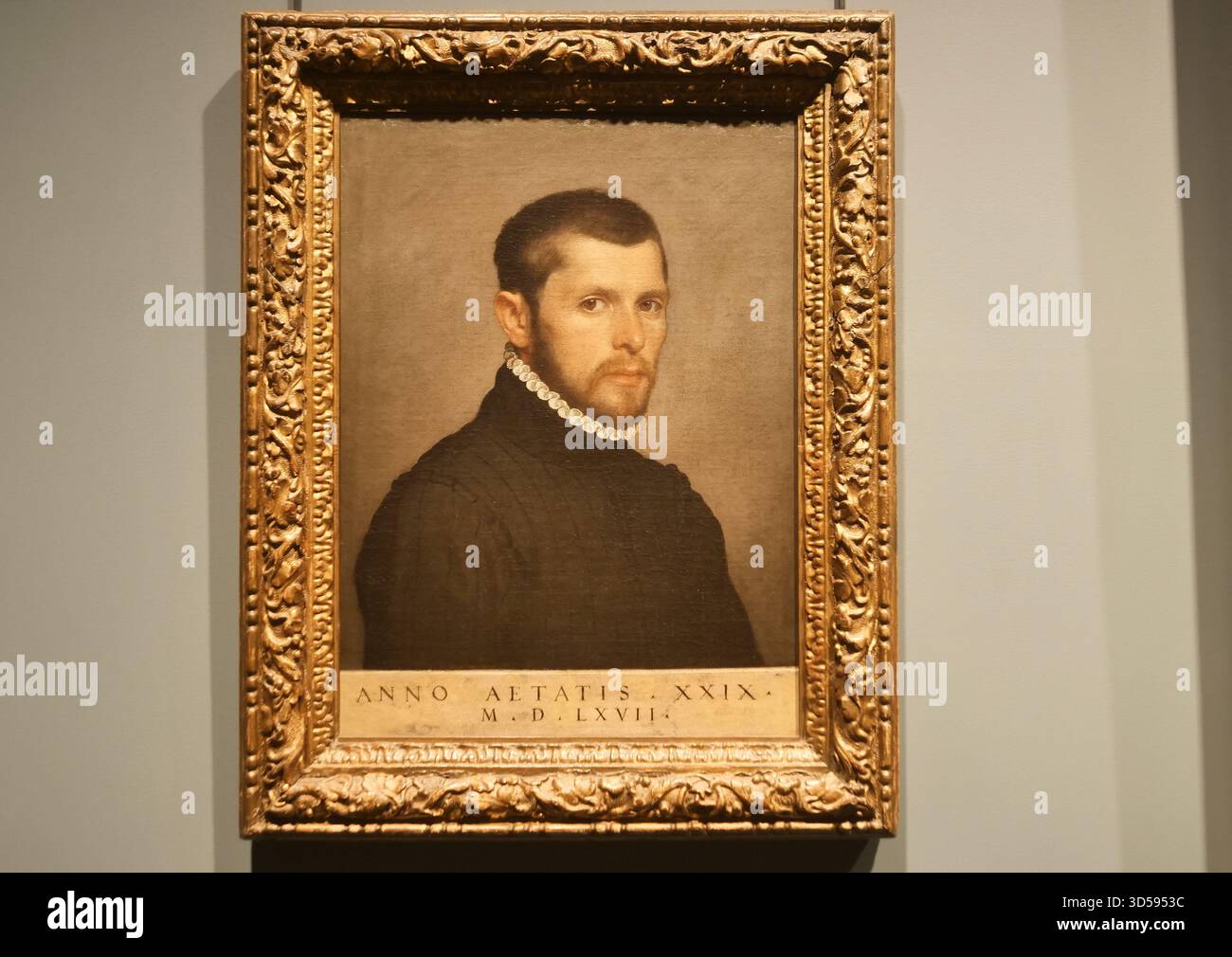Colleoni 550 The image of the leader. Portrait of Bartolomeo Colleoni ...