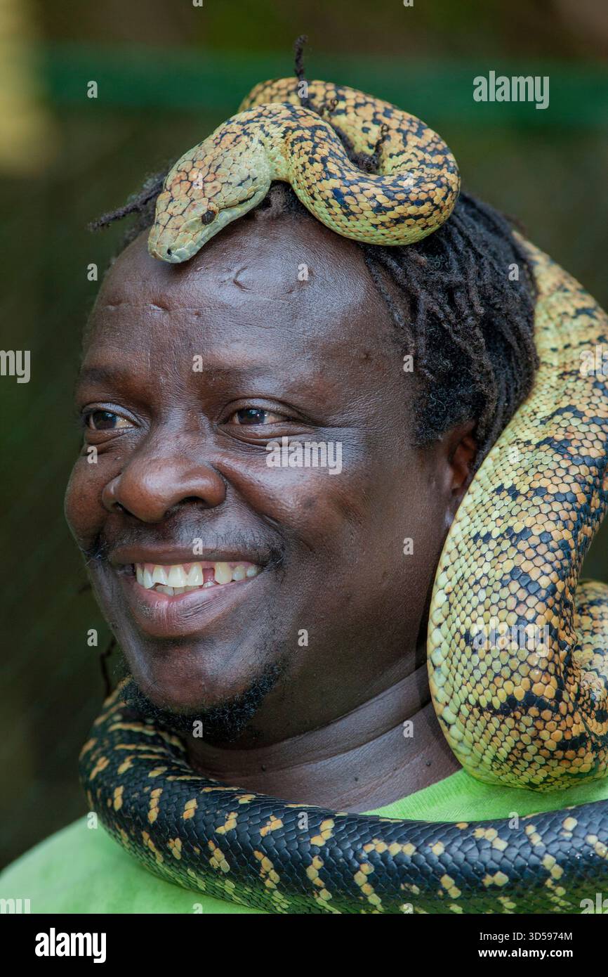 Jamaica, a snake keeper at the Swamp Safari zoo shows a Jamaican boa or ...