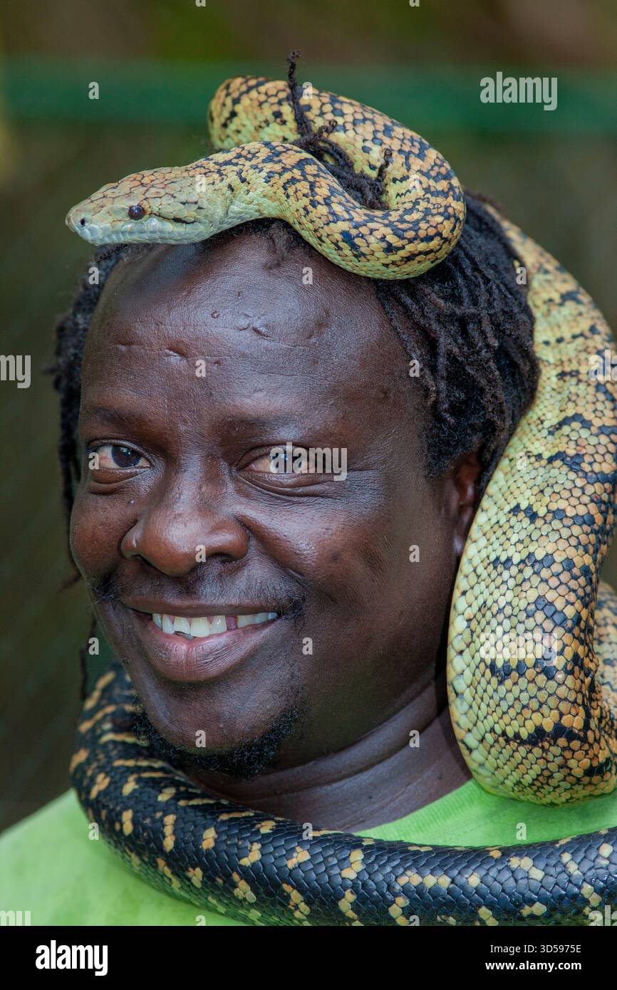 Jamaica, a snake keeper at the Swamp Safari zoo shows a Jamaican boa or ...