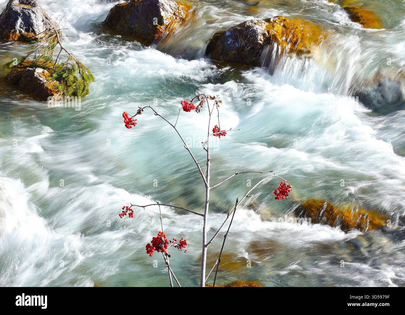 13.11.2025, Ausflug in Lech, Oesterreich, im Bild: Bach Lech *** 13 11 ...