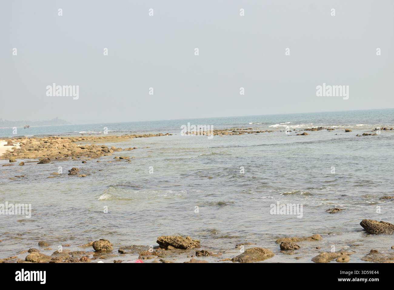 Coral in Saint Martin’s Island - The Hidden Treasures of Bangladesh’s ...