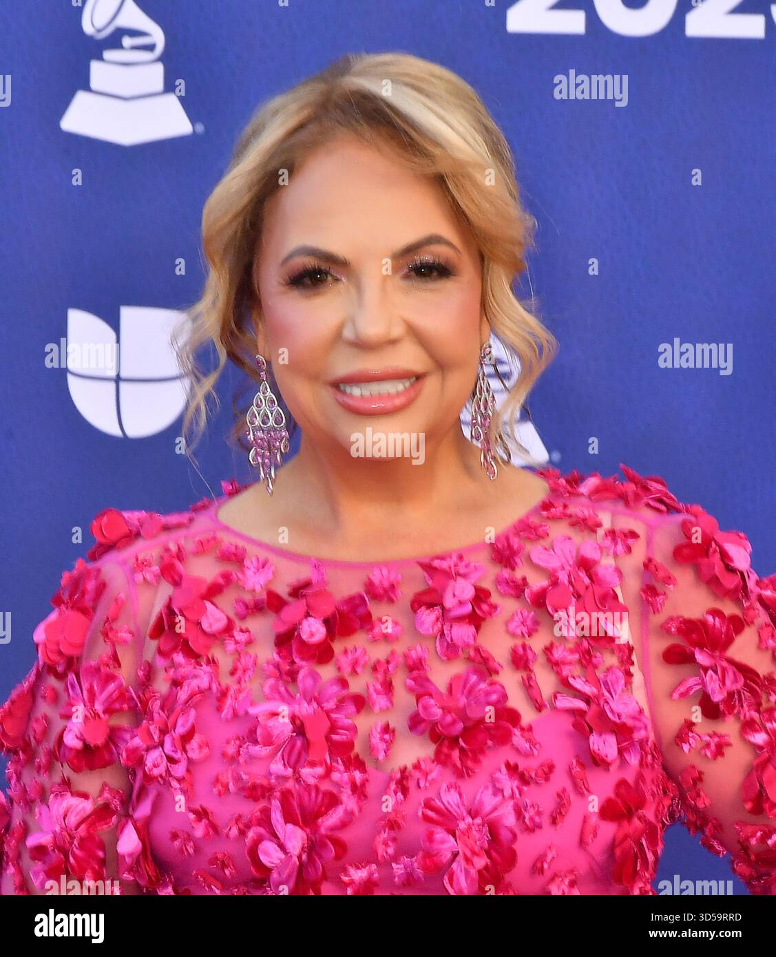 Taty Guiribitey attends The 26th Annual Latin GRAMMY Awards at MGM ...