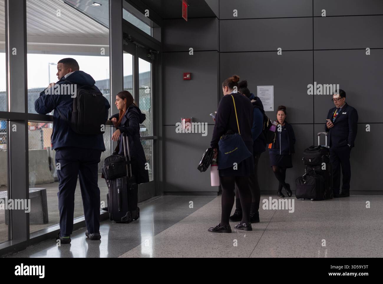 November 12, 2025, Brooklyn, New York, USA: JetBlue flight attendant ...